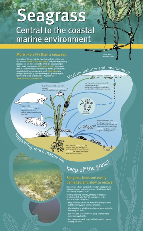 QPWS marine life mobile display – Alan James | Corporate & interpretive ...